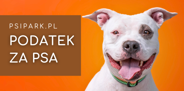 Podatek za psa 2024 – wszystko, co warto wiedzieć - psiPARK.pl